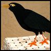 Crow & Raven Crafts for Kids: Ideas to make Crows & Ravens with easy ...